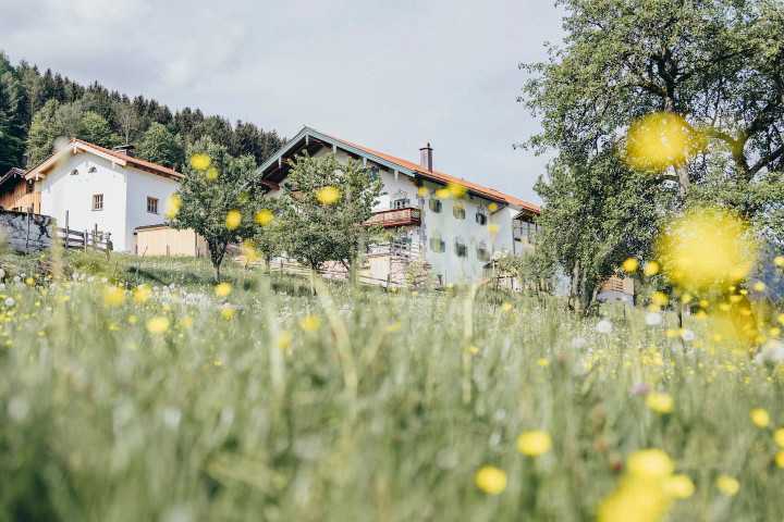 Exklusives Seminar Und Offsite Haus In Der Natur - Chiemsee