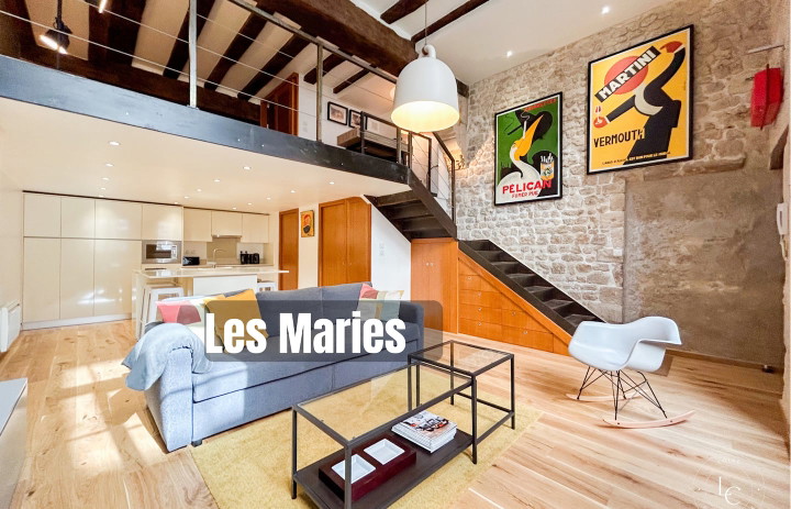 Les Maries - Beautiful Refurbished Two-room Apartment - Orléans