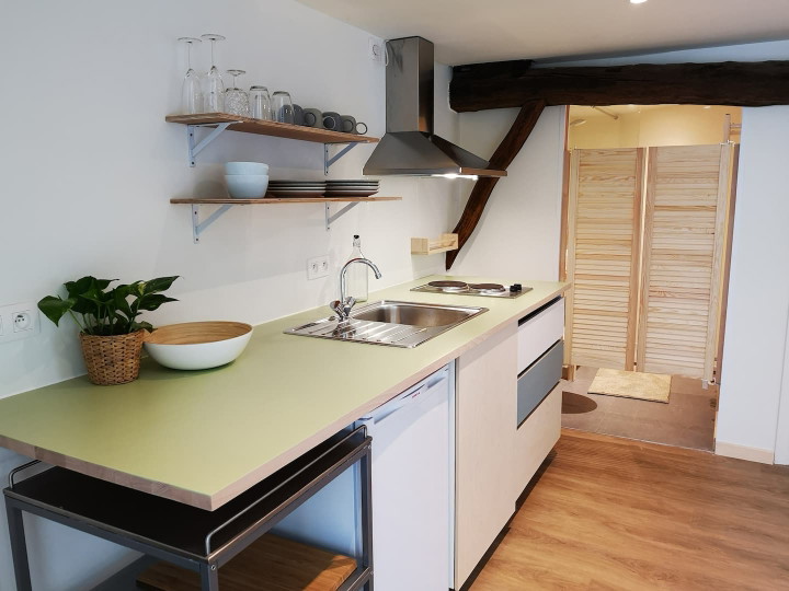 Studio Aan De Oever Van De Rupel. - Boom