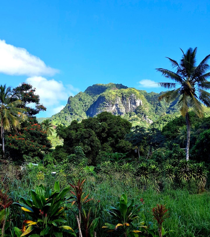 Puoromea Retreat | Central Avarua Escape - Cook Islands