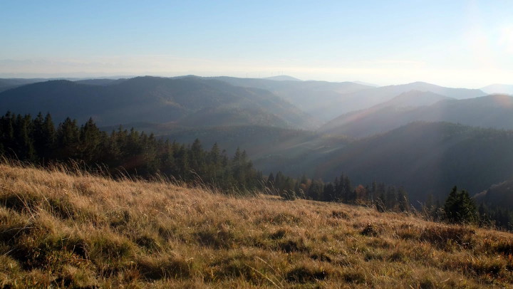 Sonnenbaden Im Rehbachhaus - Menzenschwand