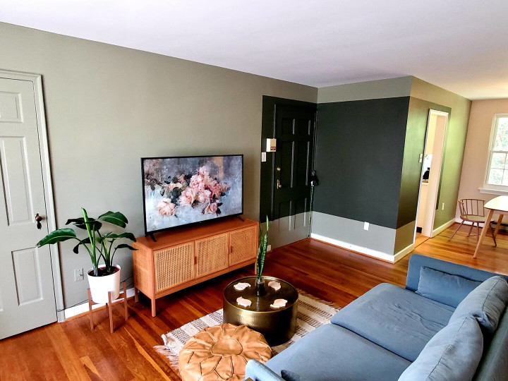 Spacious And Conveniently Located One Bedroom - Alexandria, VA