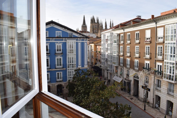 Les Magnolias De Laín Calvo - Burgos