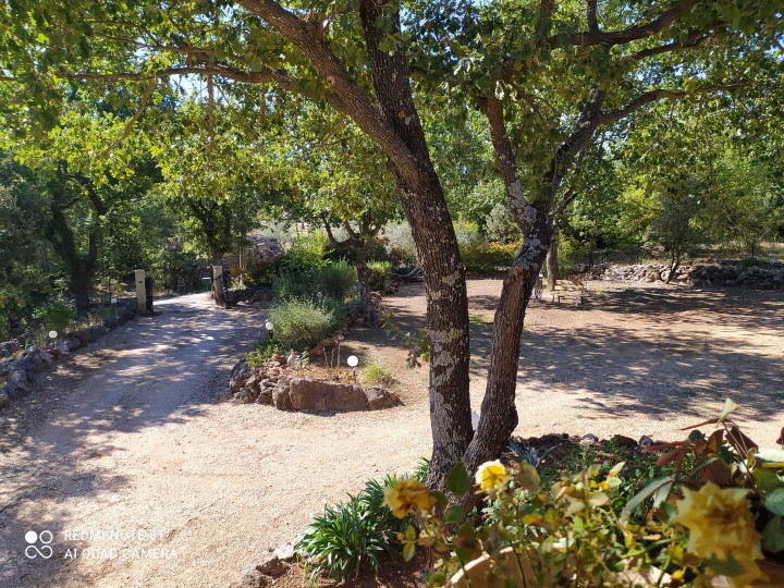 La Dame De Bras, Villa De La Provence Verte. - Brignoles