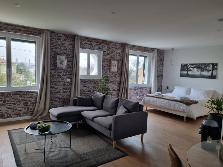 Charming Apartment - Albi