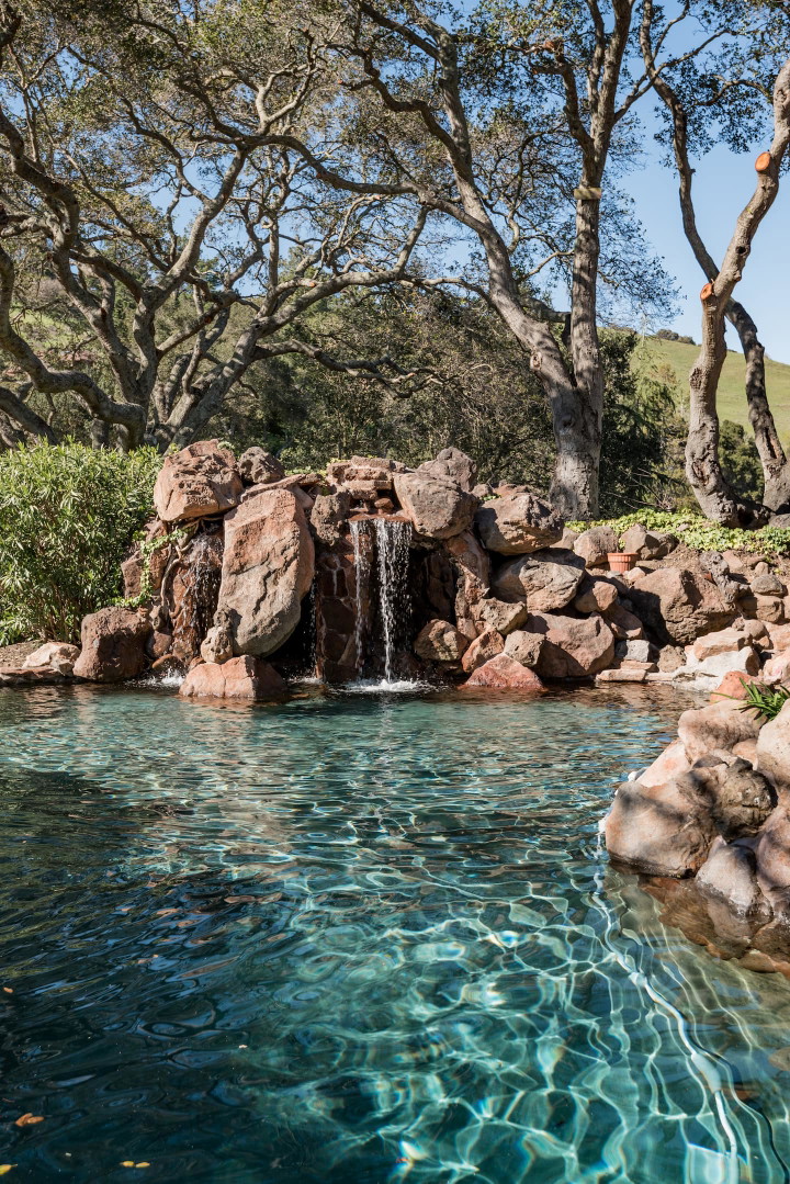 Lafayette Treehouse - Relax And Rejuvenate - Walnut Creek, CA
