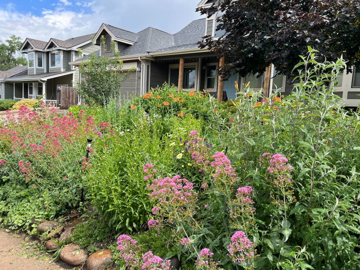 Private Suite In Lovely Lyons Home/ Boulder/rmnp - Lyons, CO