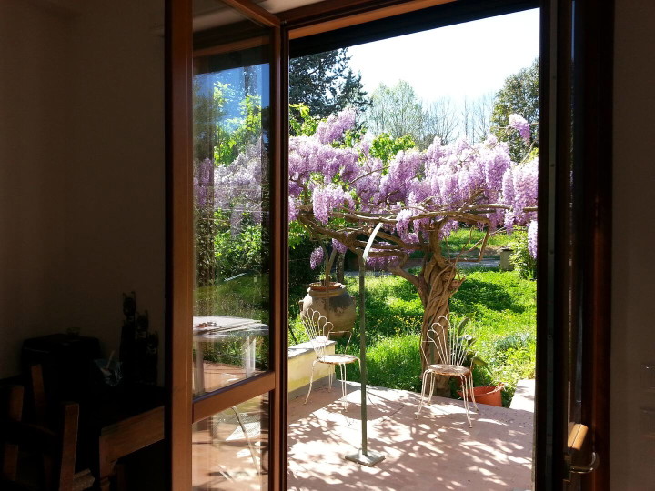 Appartamento Con Giardino - Florence