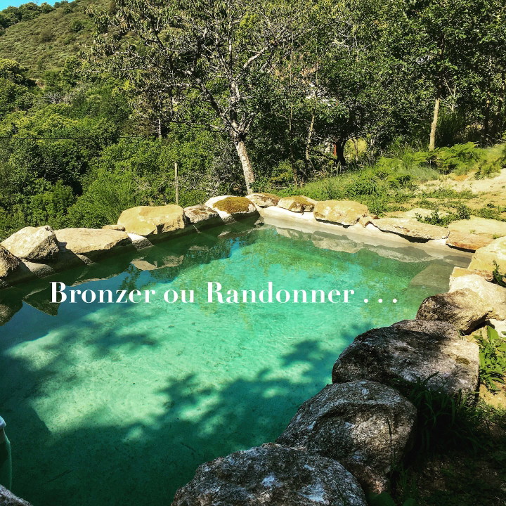 Bergerie Cévennes "Le Soutoul" Swimming Pool (2.5m X 5m) - Nant