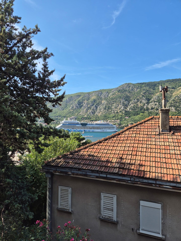 Wajawell - Kotor