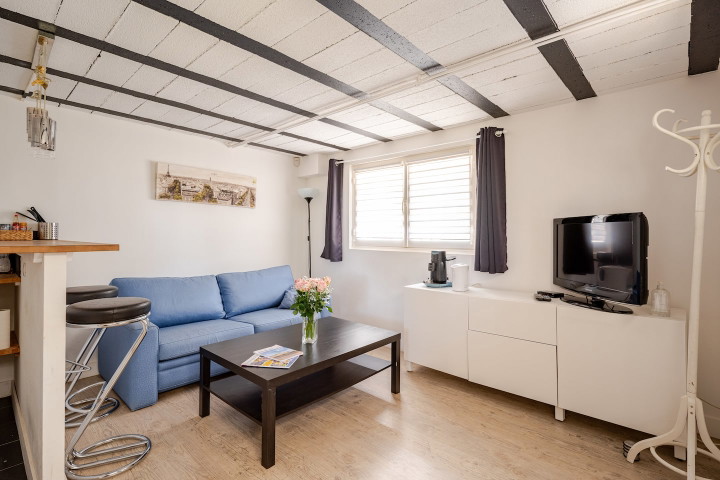 Charmant Deux Pièces En Rez De Jardin - Maisons-Laffitte