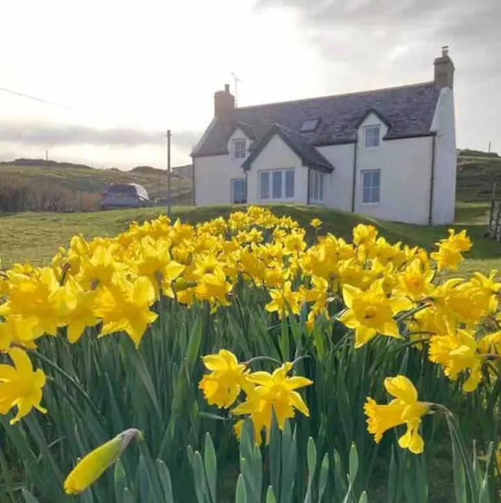 Luxury Cottage By Clachtoll Beach+hi Speed Wifi - Lochinver