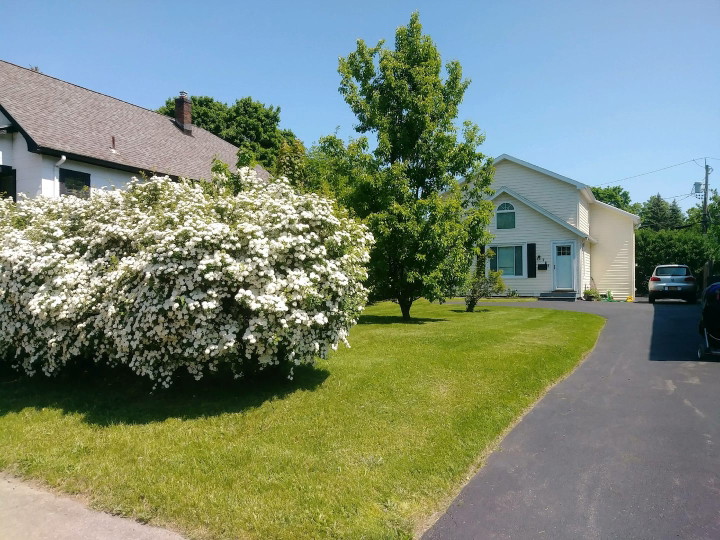 Rest And Recover-home Away From Home - Irondequoit Bay, NY