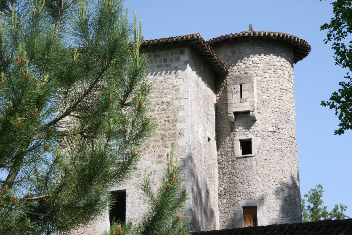 Commanderie De Templiers - 8 Chambres - Casteljaloux