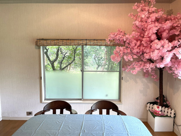Whole 60-yr Traditional Home, Airport 1 Stop - Narita