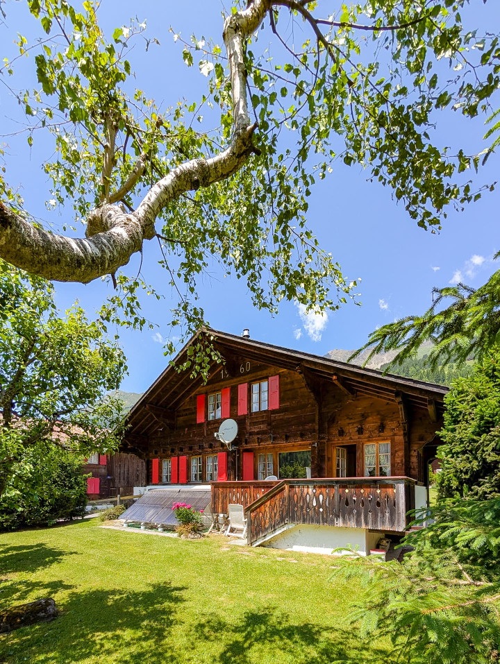 Large Family Chalet With Fireplace In Diablerets - Les Diablerets