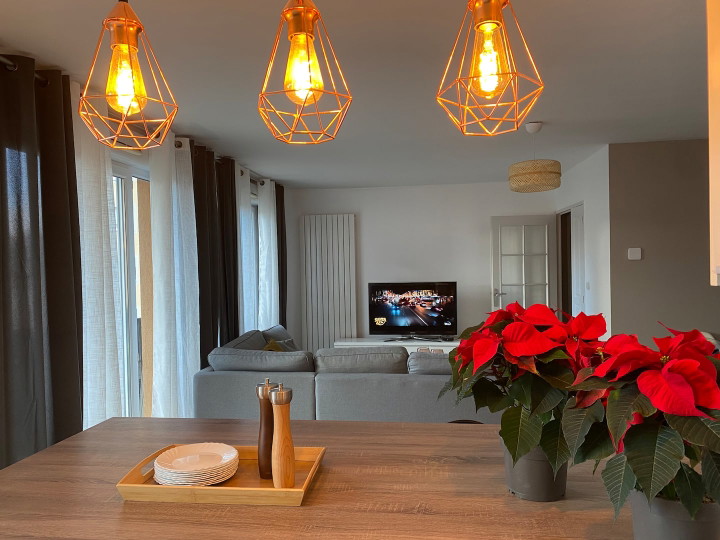 Appartement Charmant Annecy - Annecy