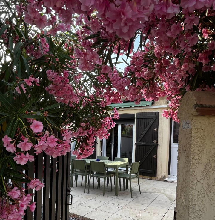Villa Avec Jardin Proche Plage - Saint-Cyprien