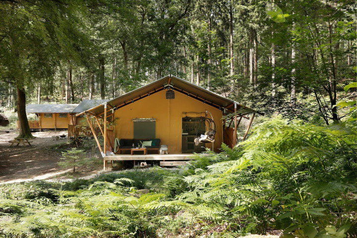 Lodgetent In De Veluwezoom. - Arnhem