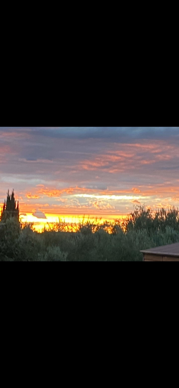 Appartamento Nel Verde Della Campagna Di Volterra - Volterra