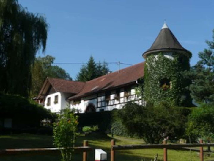 Gite De La Tour  Domaine D'estary - Ribeauvillé