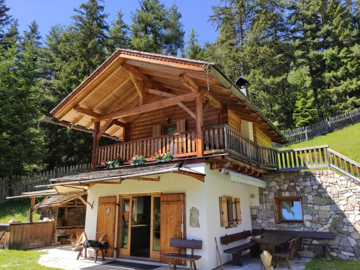 Alpenchalet Dolomites - Alpe di Siusi