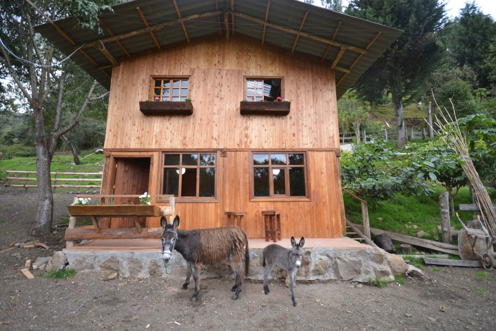 Hacienda Chan Chan - A Dairy Farm Chalet - Ecuador