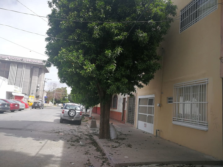 Casa Amarilla Centro Torreon - Gomez Palacio