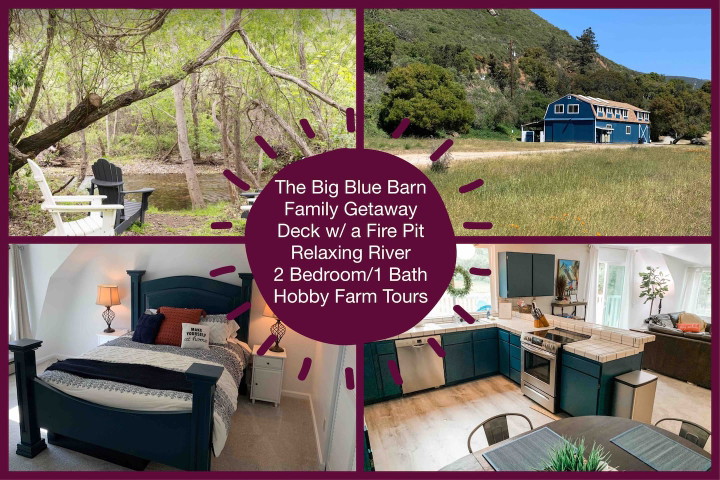 Peaceful Farm Stay~families Welcome~ Scenic Views - Carmel Valley, CA