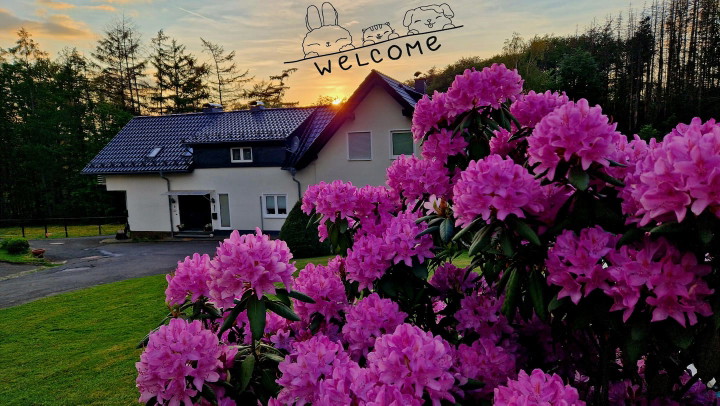 Ferienhaus - Nebelseifen - Tiere Sind Willkommen.! - Reichshof