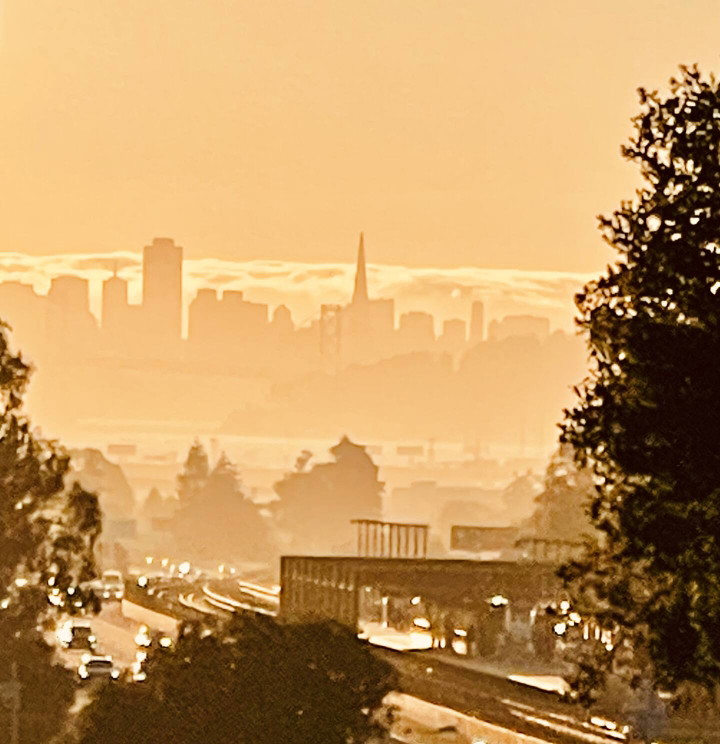 Rockridge Walk Score 98 - Oakland - Oakland, CA