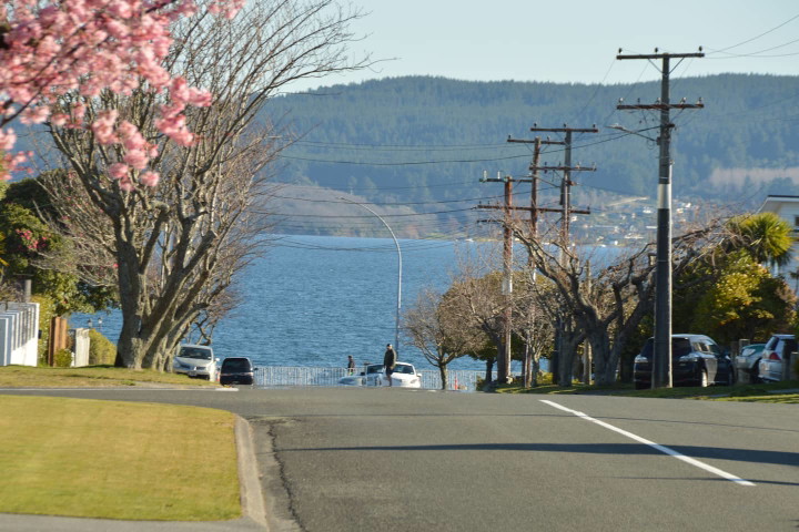 Happiness Is Huia A Block From The Lake - Summer By The Lake - New Zealand