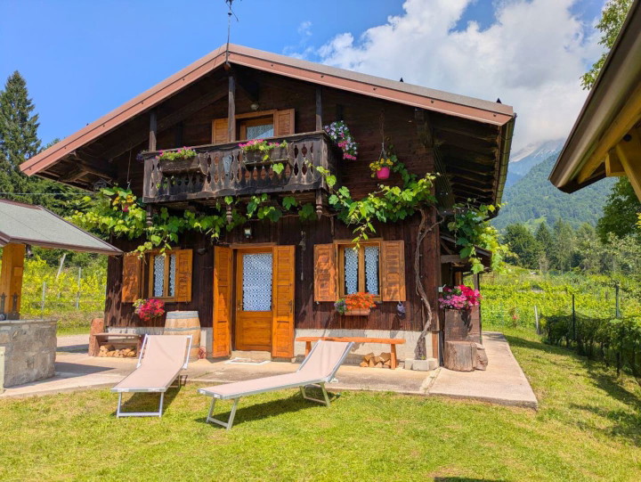 Chalet Niché Au Milieu Des Vignes à 860 Mt - Sauris