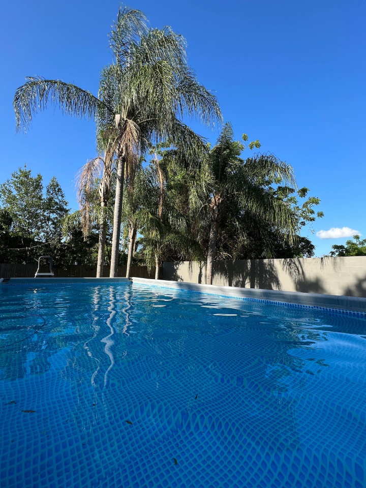 Saltwater Pool, 110-inch Game Room | Palm Harbor - Dunedin, FL