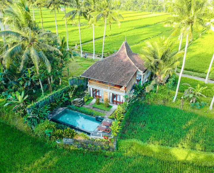 Villa Bo-sofie  Design Jungle Retreat Ubud  Pool - Bali
