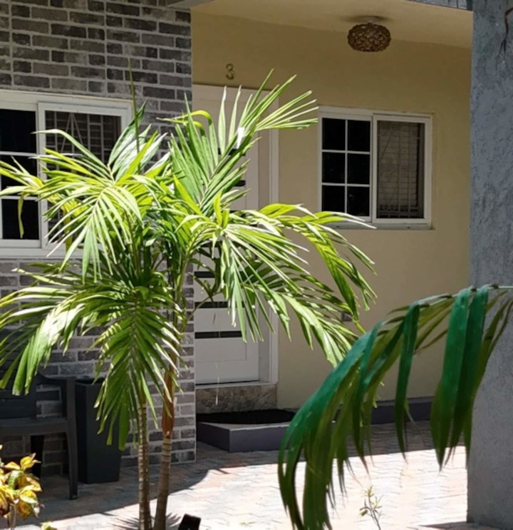 Breathe Easy Apt 3 - Negril