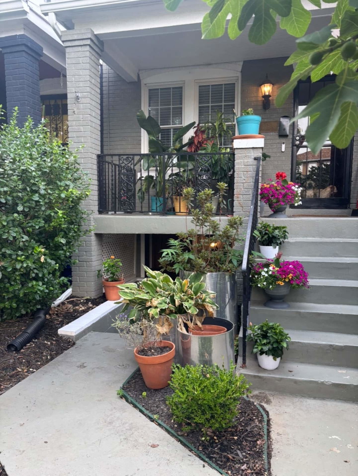 Cozy Botanical City Hideaway - Edgewood, Washington DC