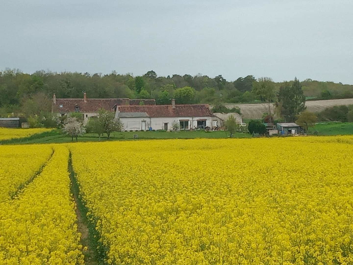 Gîte à La Campagne Très Chaleureux Et Calme 2/3p - Onzain