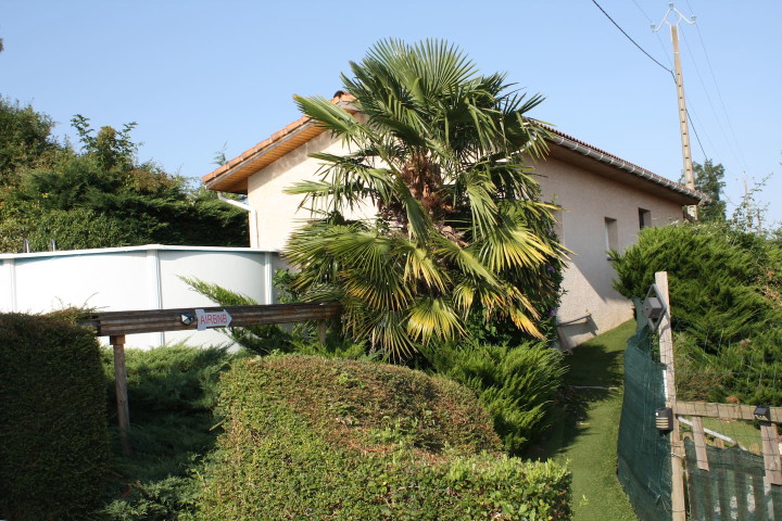 Villa Complète Neuve, Piscine Privée Et Billard - Rhône-Alpes