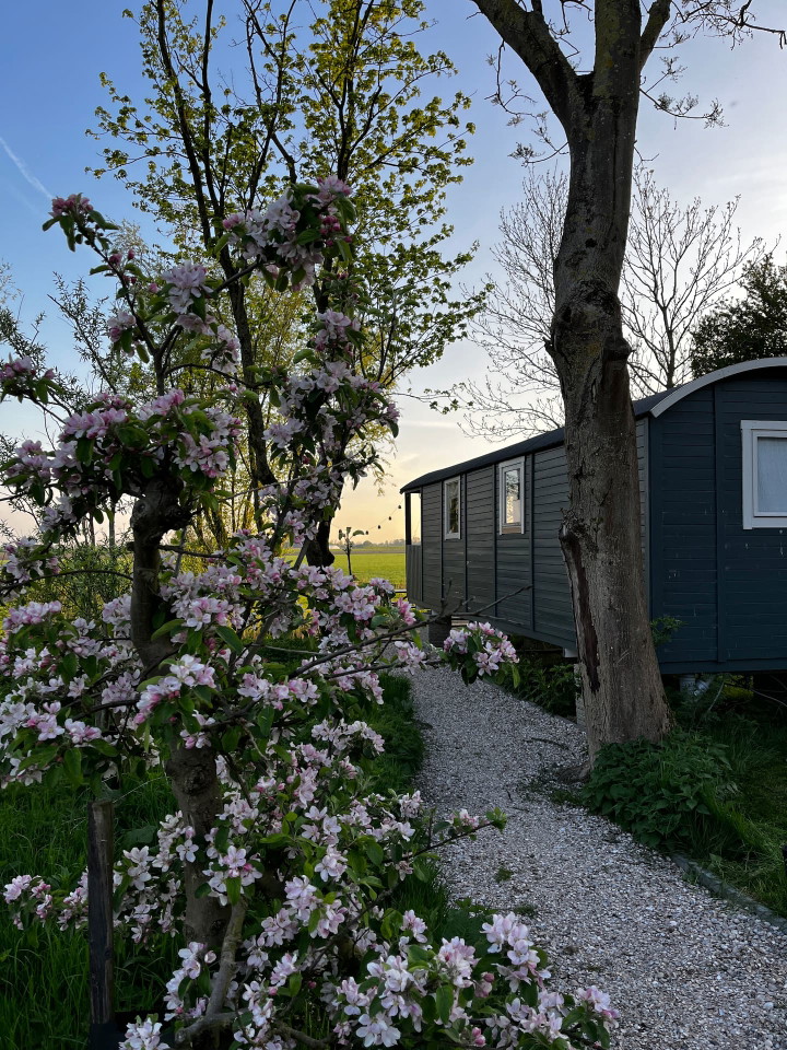Tiny House In Het Reitdiep Dal - Groningen Province