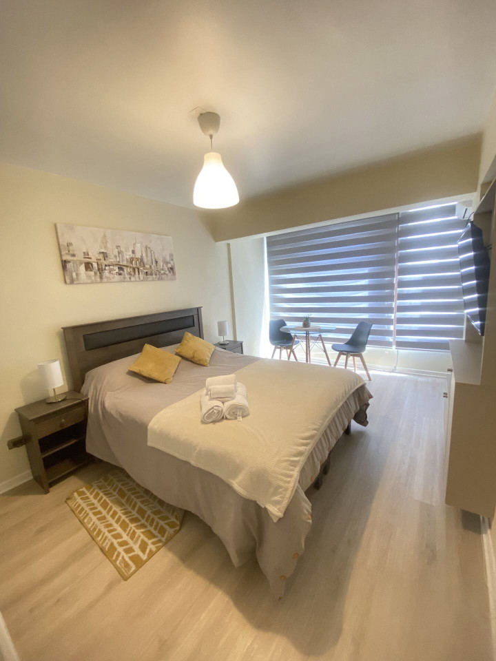 Fine Arts. Best Location And Air Conditioning - Santiago