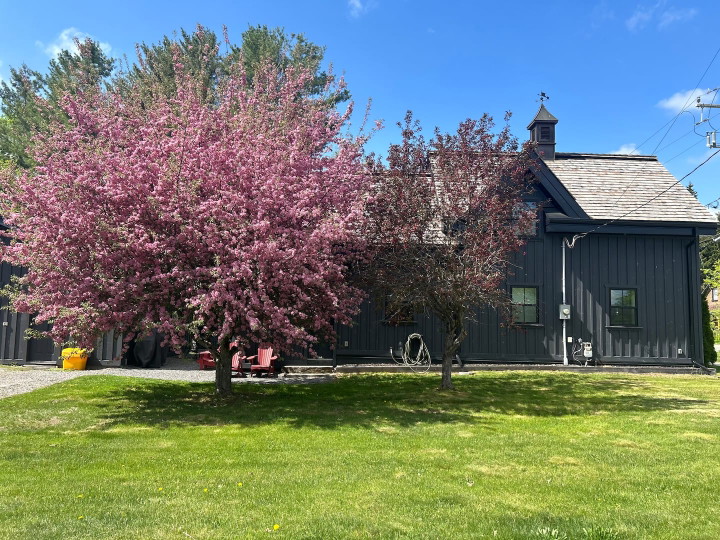 Century Home In Bracebridge Muskoka W/ Ev Charger! - Bracebridge
