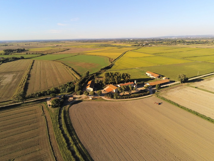 Gîte Le Cigalon  «&nbsp;Les Pieds En Camargue&nbsp;» - Arles