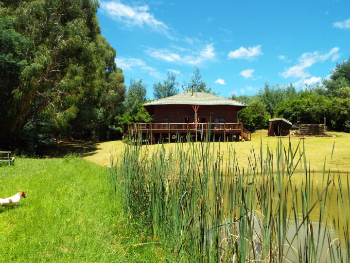 Manzini Cabin - Emgwenya
