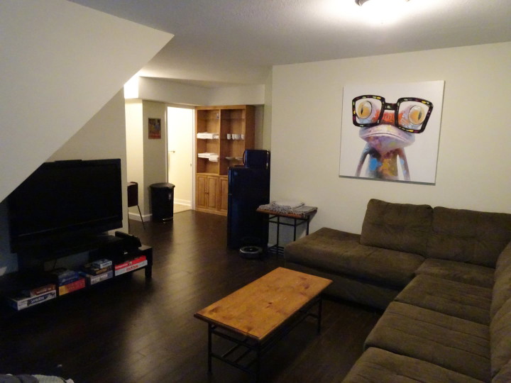 Lovely 1br/1ba Basement Apt. (W/private Entrance!) - Black Mountain, NC