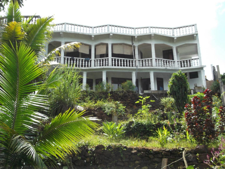 Riverside Birdnest - Mauritius