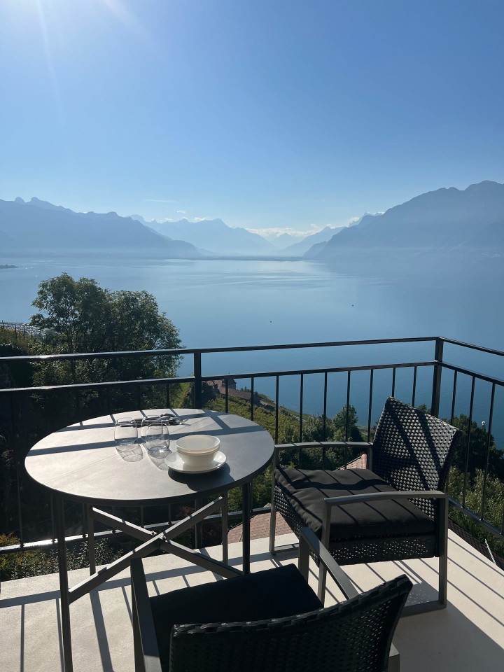 The Nest Lavaux - Vevey