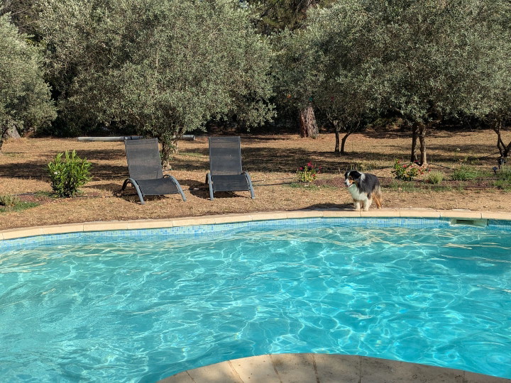 Cabanon De Charme Avec Accès Piscine Et Terrasse - Rousset