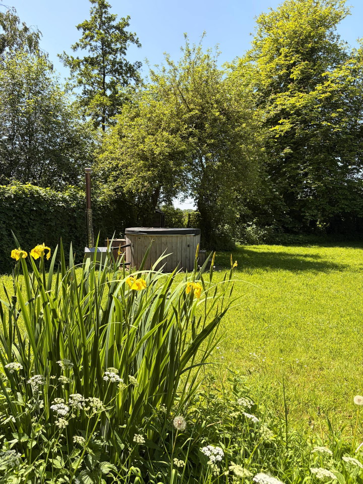 Leuke B&b In Het Groene Brummen - Zutphen