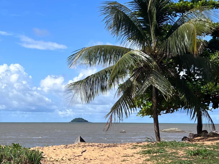 Nid De Plaisir - Guyane française